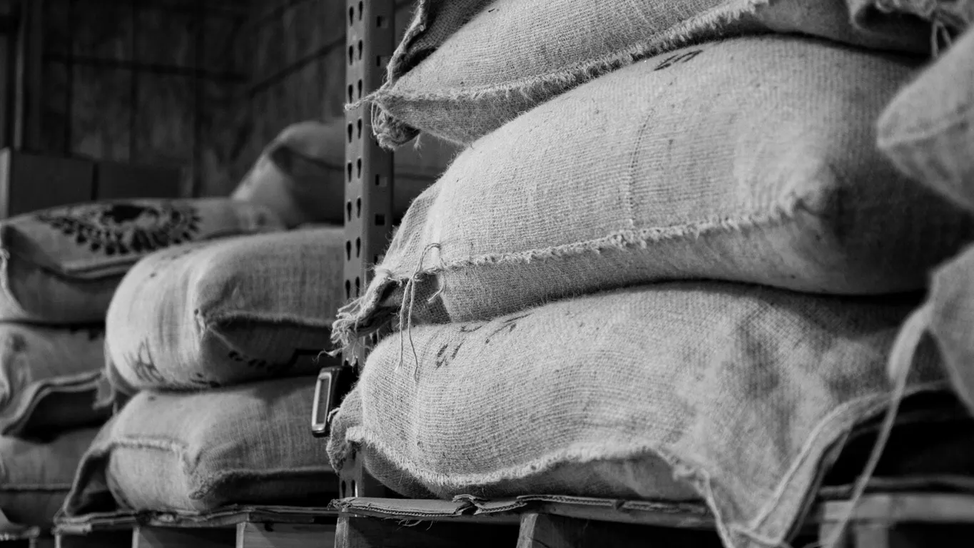 Connecting the Dots: Inside the 2023 Coffee Barometer