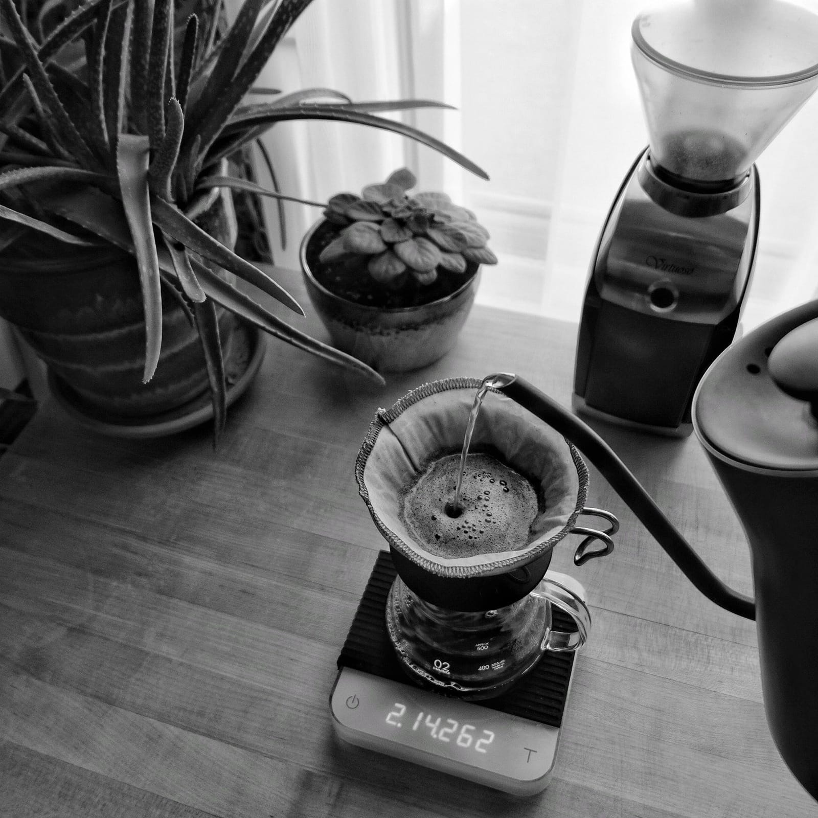 Cloth Coffee Filters: Are They Worth It?